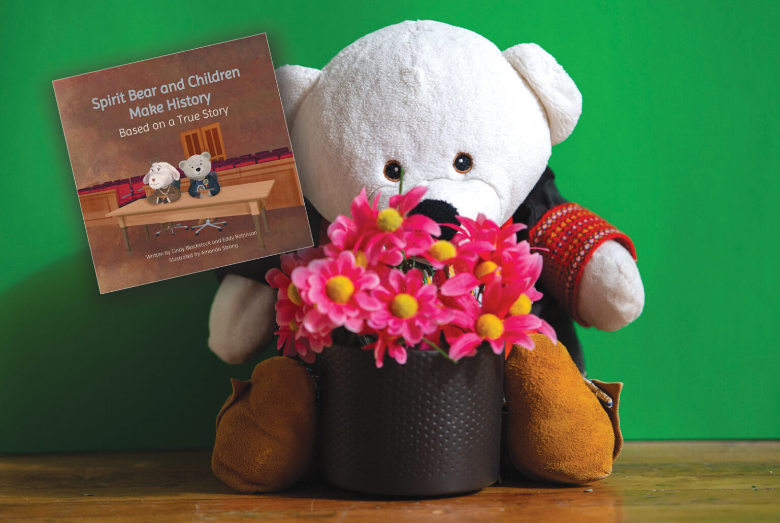 Spirit Bear: A Bearrister for First Nations Children - Today's Kids in ...
